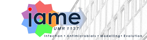 logo IAME | Site de la Recherche et de l’Innovation des HUPNVS